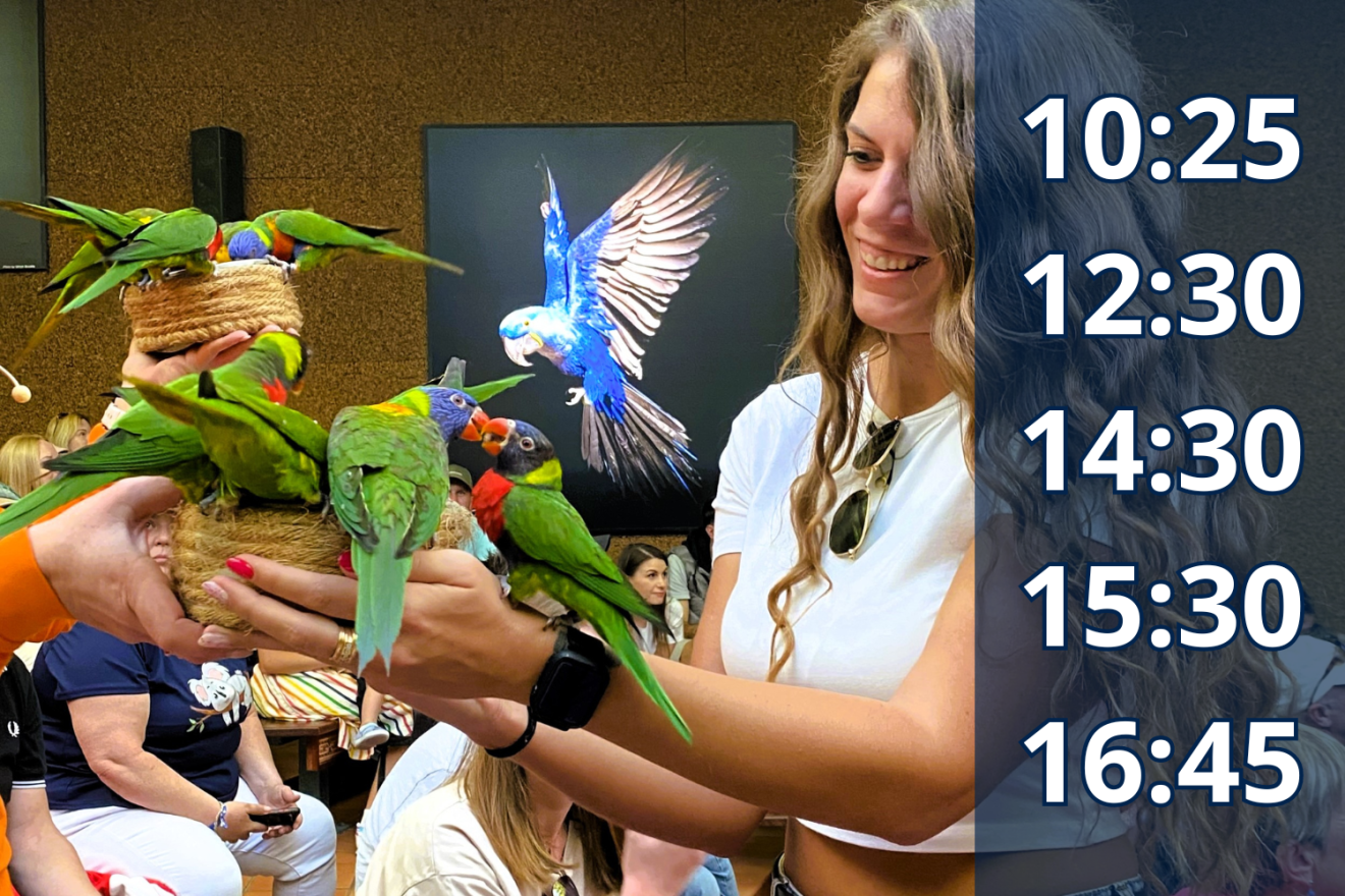 LORO PARQUE – ANIMAL KINGDOM IN TENERIFE – Nabila Experience